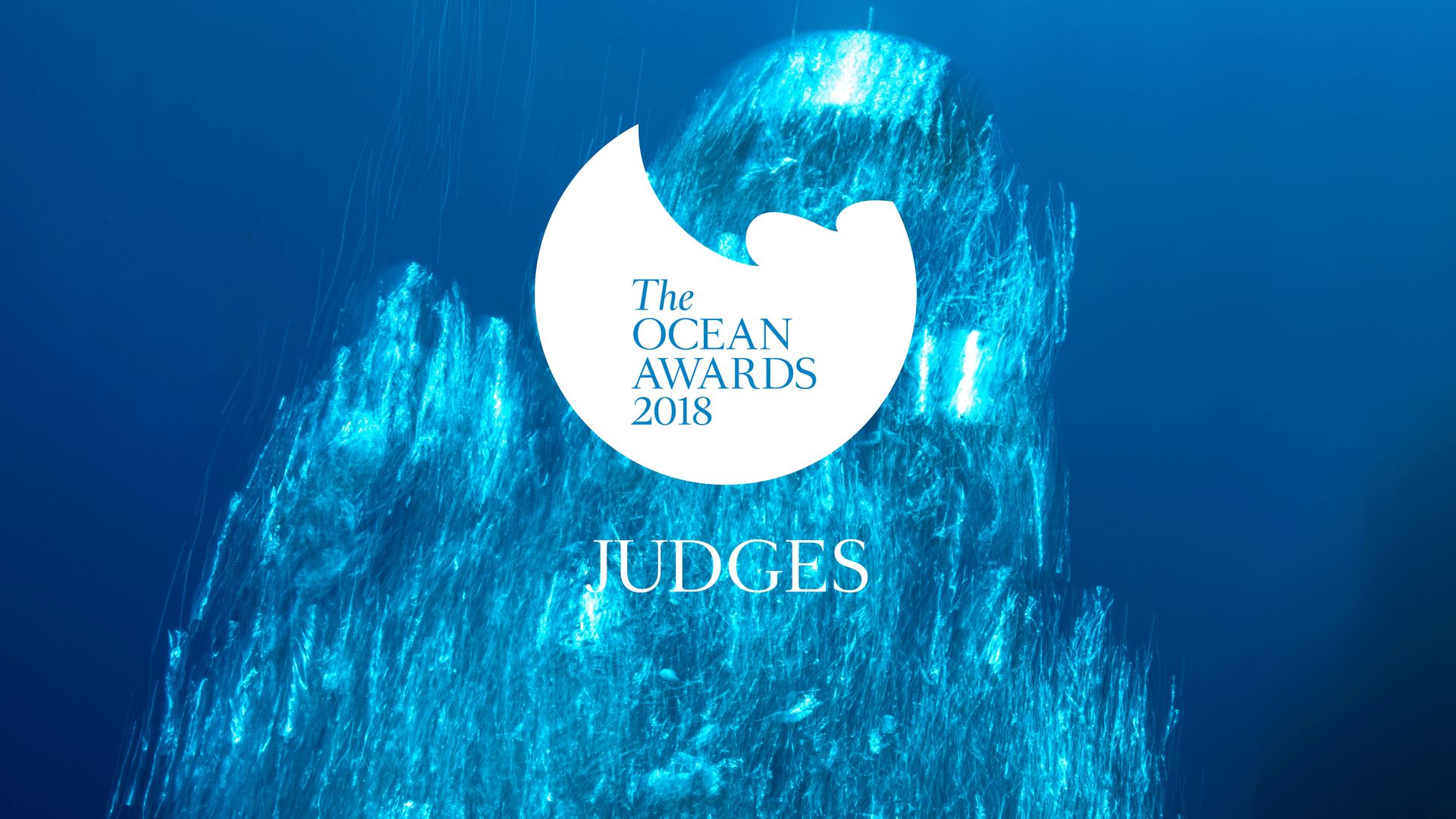 The Judges of the 2018 Ocean Awards
